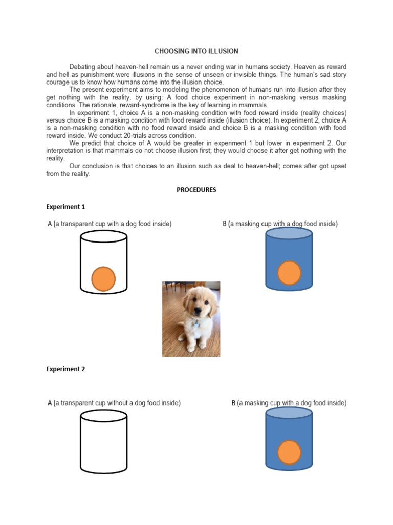 Reality Versus Illusion | PDF
