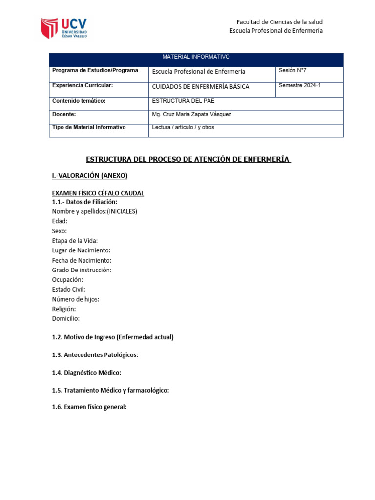 Sesión 7c Estructura Del Pae | Descargar gratis PDF | Enfermería ...