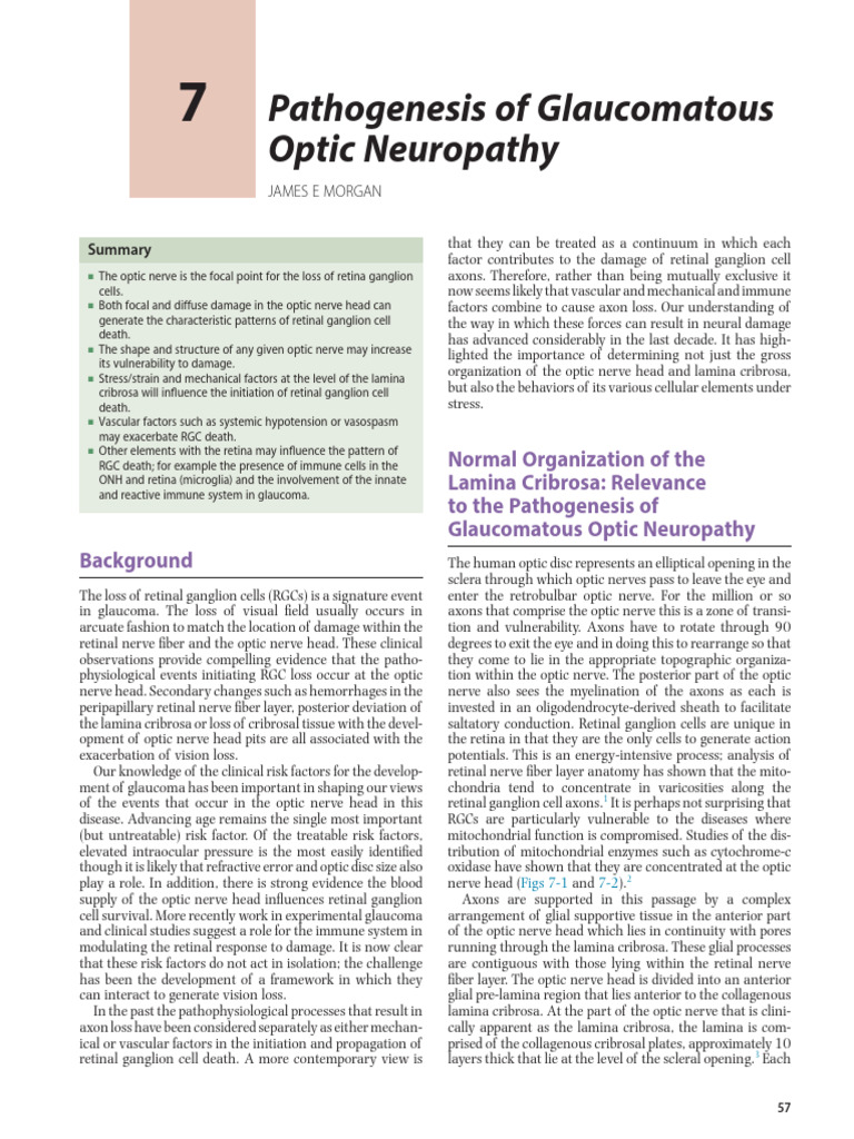 7 Pathogenesis of Glaucomatous Optic Neuropathy | Download Free PDF ...