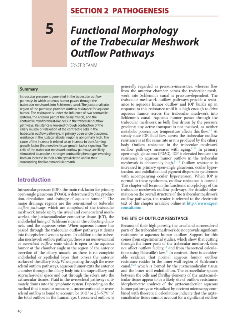 5 Functional Morphology of the Trabecular Meshwork Outflow Pathways | Download Free PDF ...