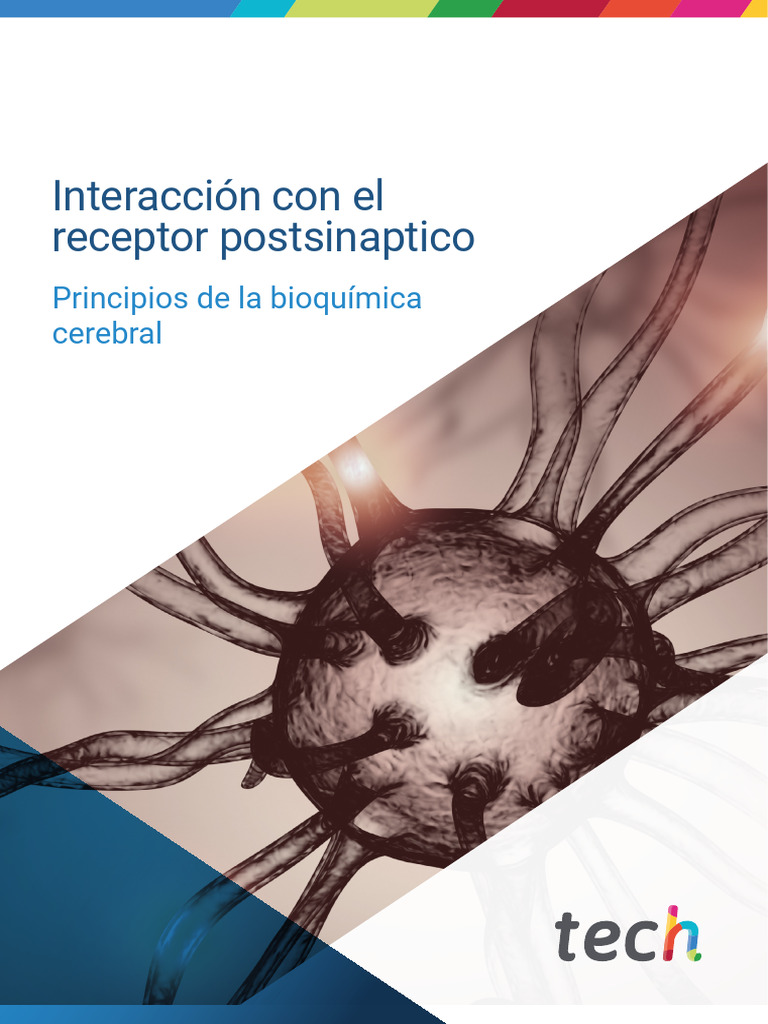 Receptores Postsinápticos y NT | PDF | Sinapsis | Receptor Nmda