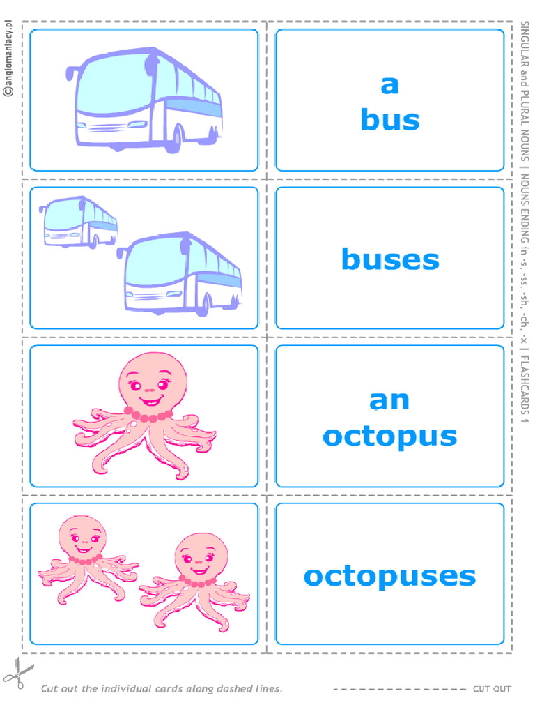 Nouns Plural Flashcards 5 | PDF
