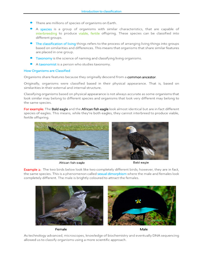 Introduction To Classification | PDF