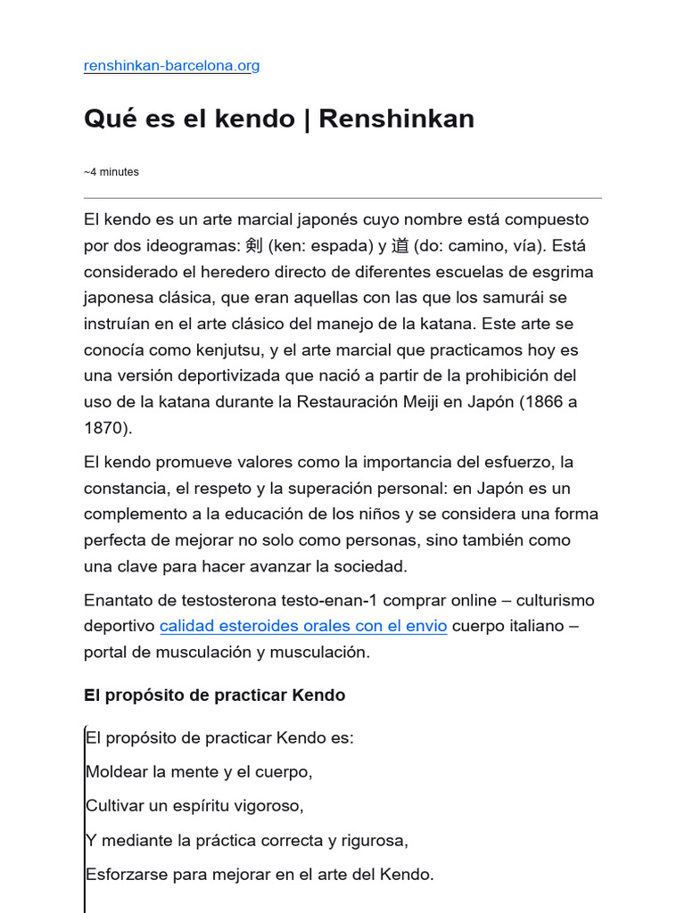 Qué Es El Kendo | PDF | Artes marciales japonesas