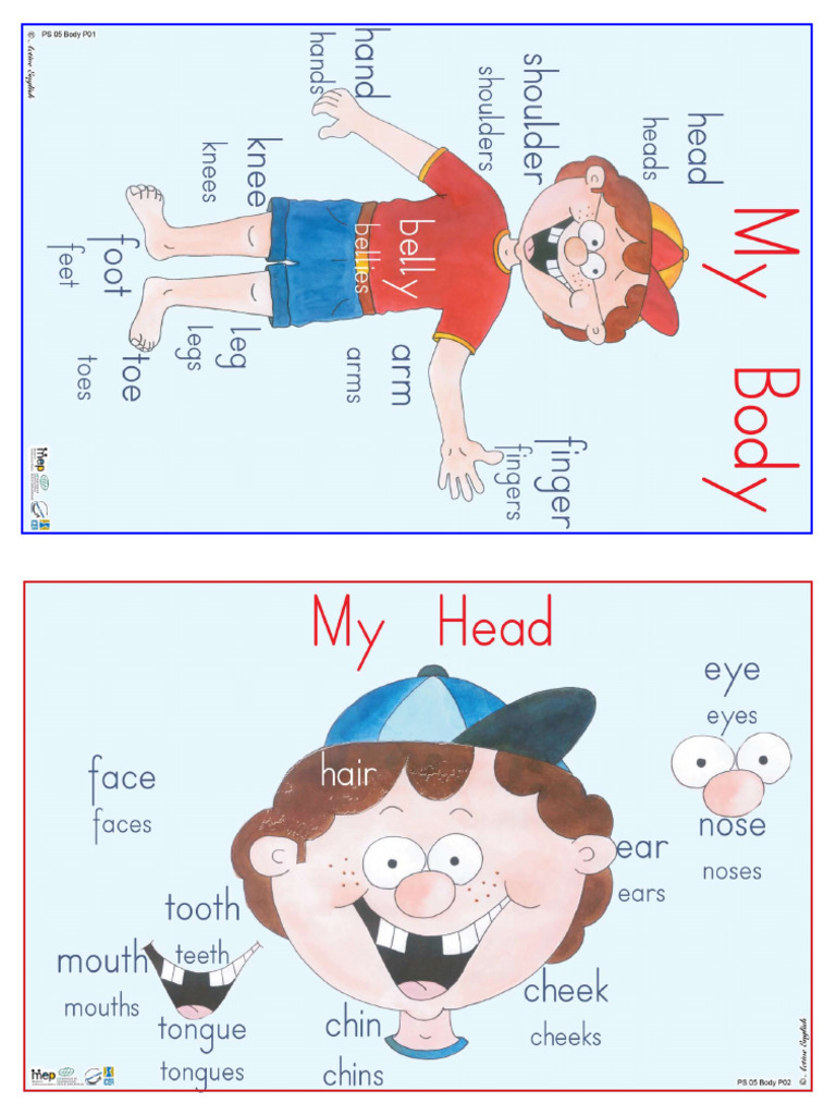 Posters - My Body | PDF