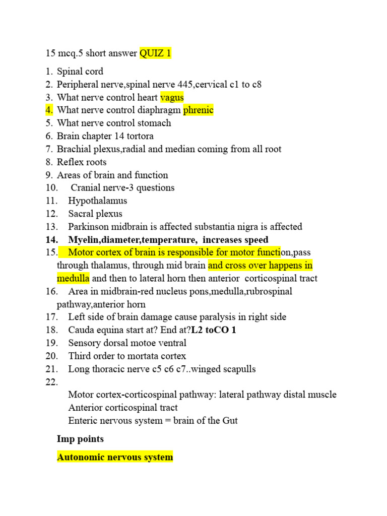 Quiz | PDF | Motor Neuron | Spinal Cord