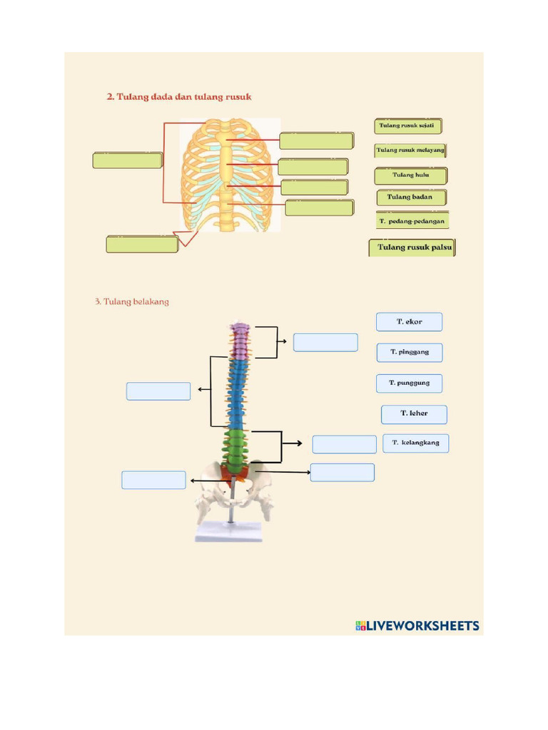 MATERI IPA | PDF