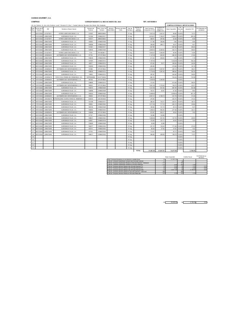 Libro Compras 2024 | PDF | Impuesto al valor agregado | Impuestos