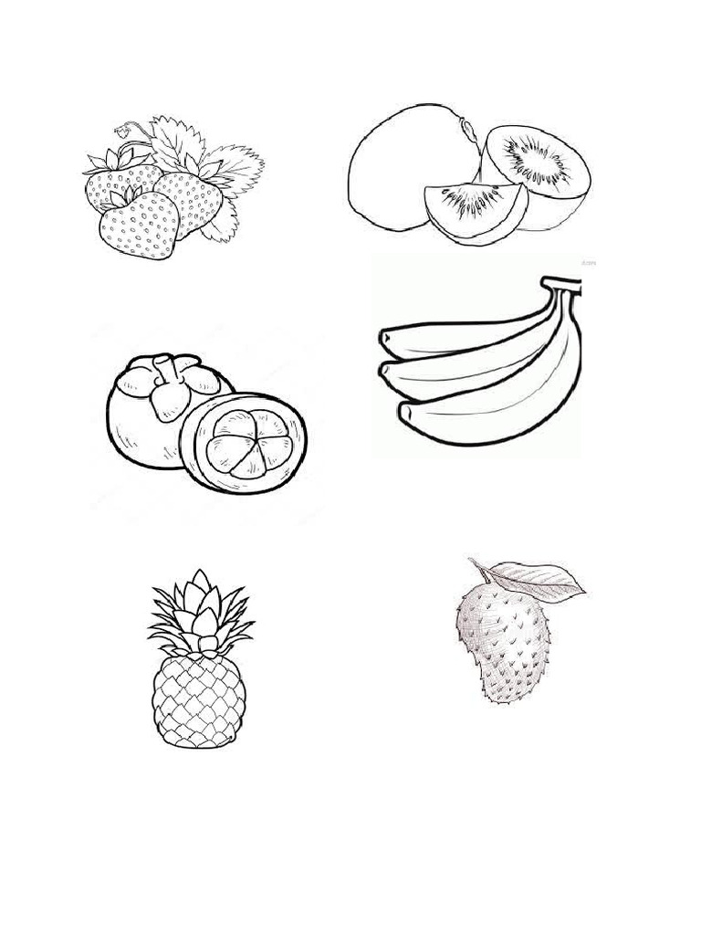 FRUITS | PDF