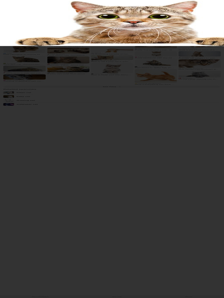 Searchq Cat&rlz 1C9BKJA enUS1088US1088&oq C&gs LCRP ...