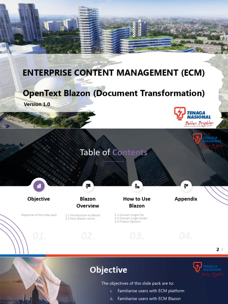 ECM Blazon | PDF | Computer File | Software