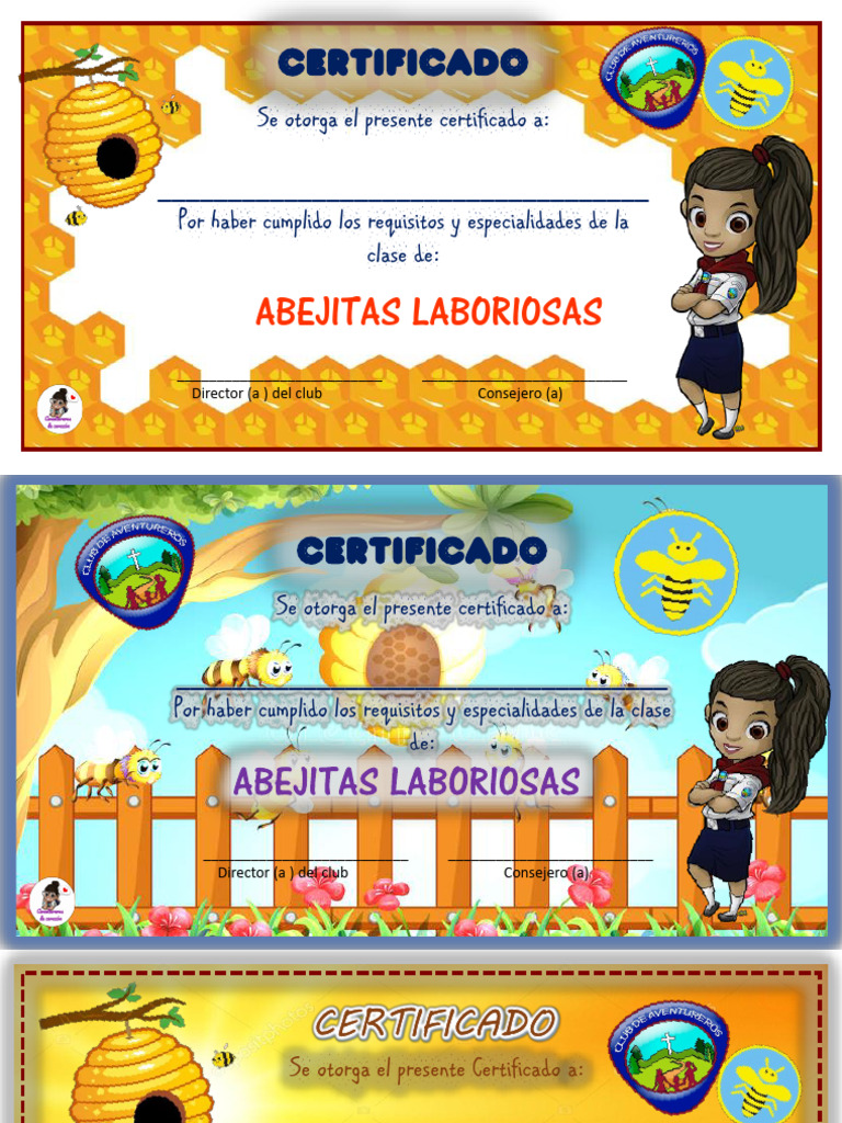 Certificado Clase Abejitas Laboriosas | PDF