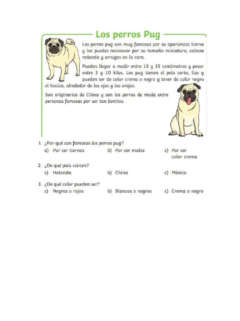 perros pug | PDF