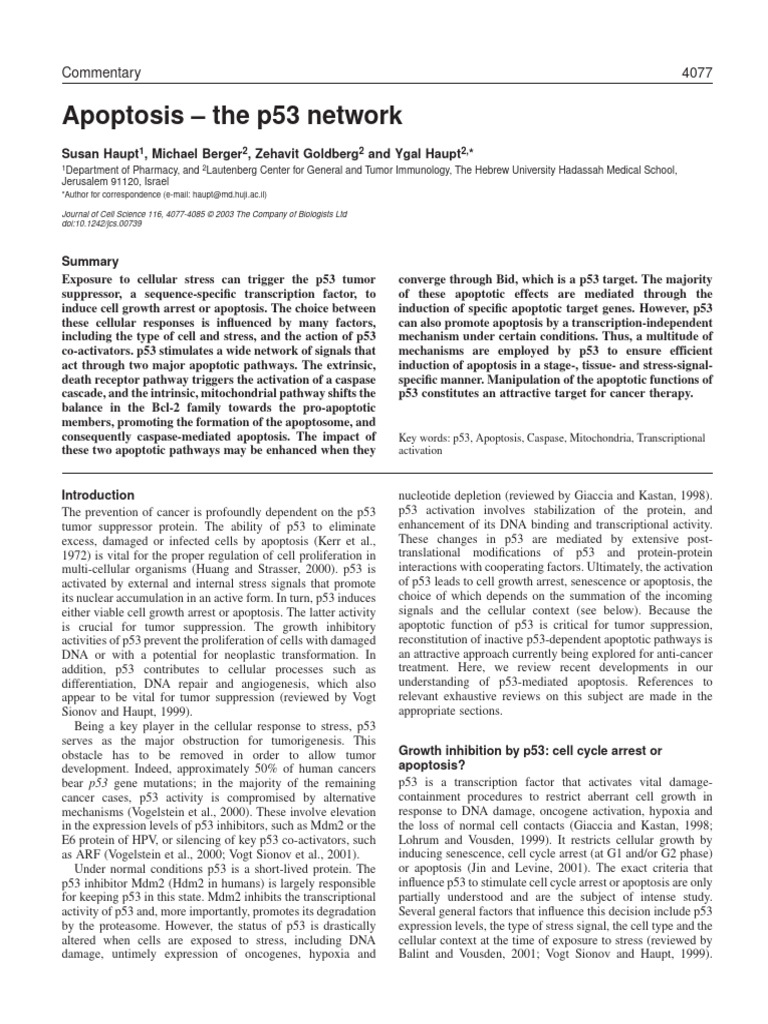 Apoptosis La Red de p53 | PDF | Apoptosis | P53