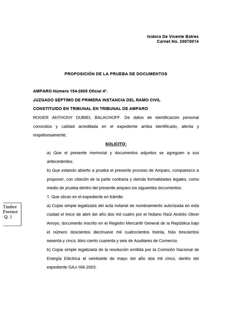 11.Memorial de Prueba de Documentos | PDF