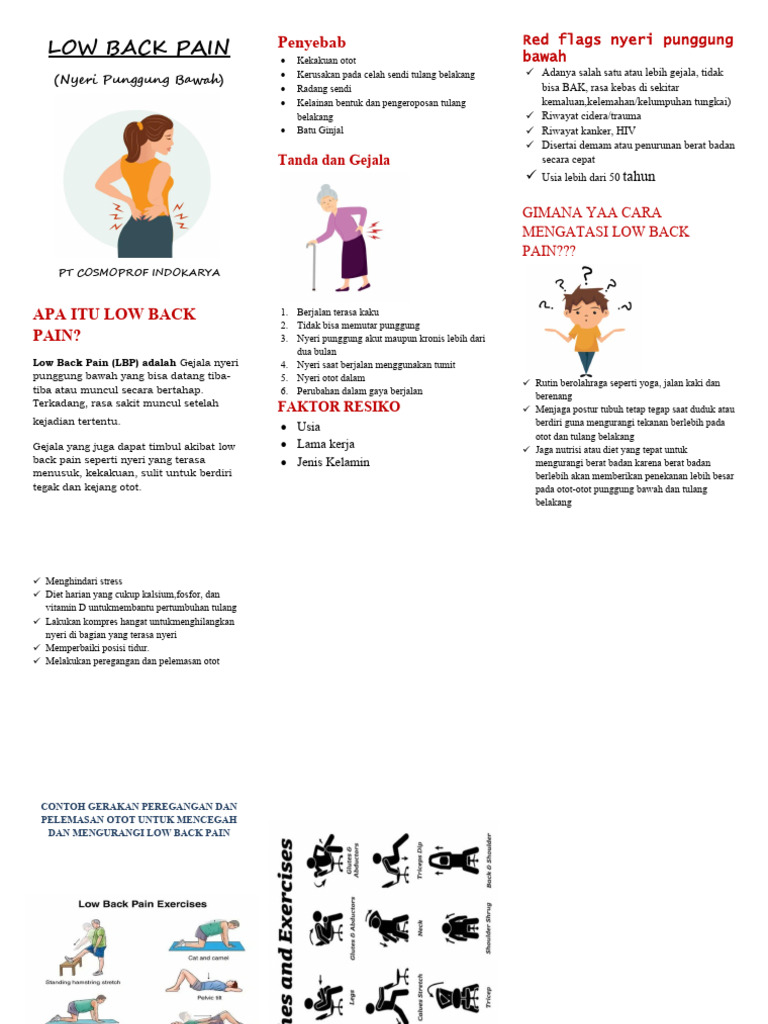 Leaflet Low Back Pain | PDF