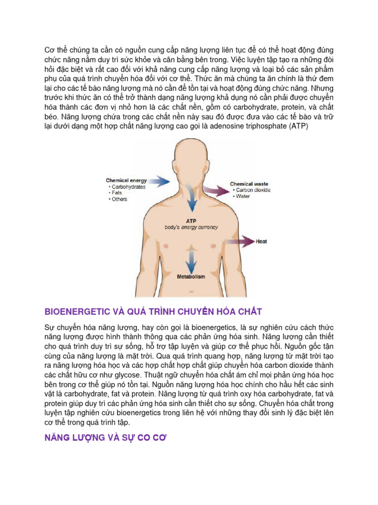 Chuyen Hoa Nang Luong | PDF