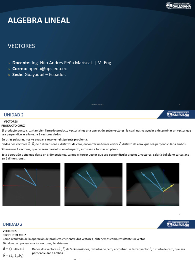 Clase13 Vectores | PDF | Espacio vectorial | Vector Euclidiano