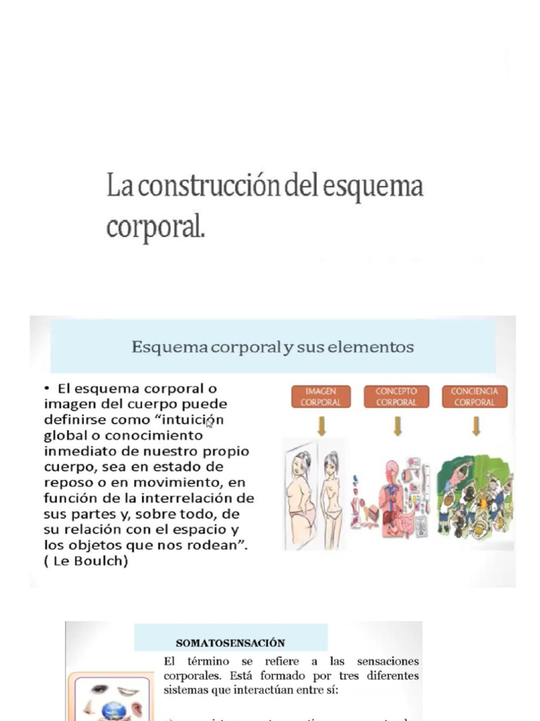 Importancia Del Esquema Corporal | PDF