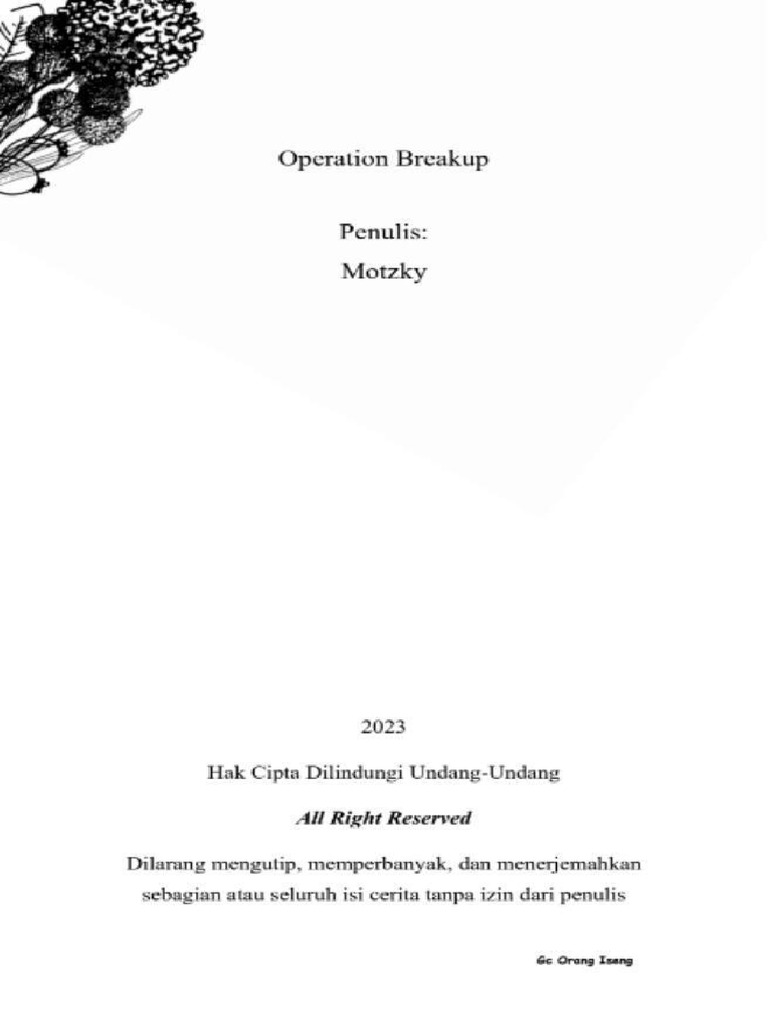 Motzky - Operation Break Up | PDF