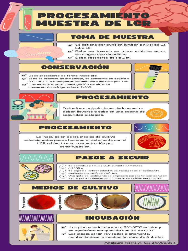 Proceso de Toma y Cultivo de LCR | PDF