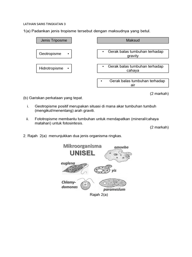Latihan Sains Tingkatan 3 Pdf