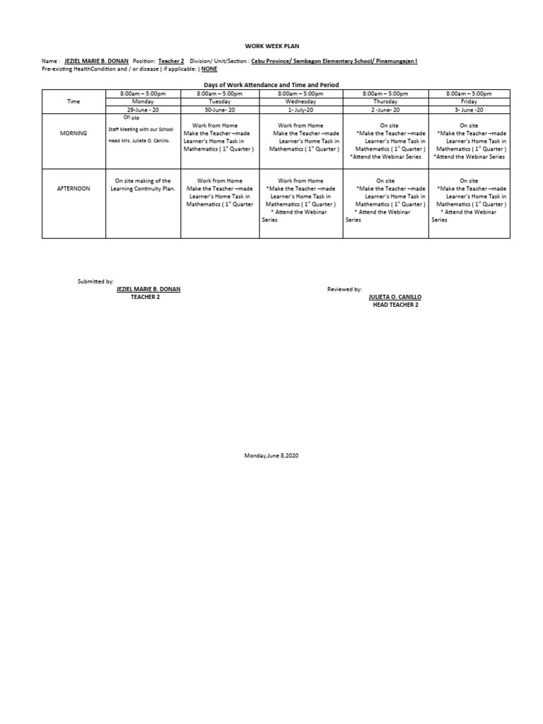 Individual Workweek Plan Sample | PDF