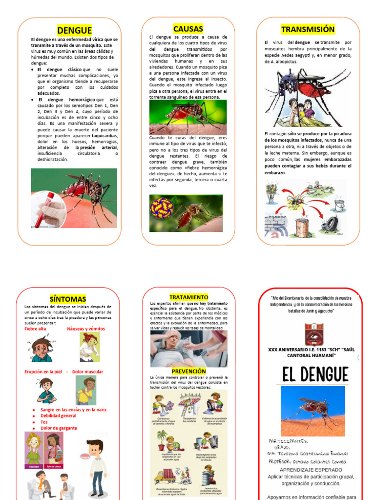 Triptico Dengue 1 | PDF | Medicina | Especialidades Medicas