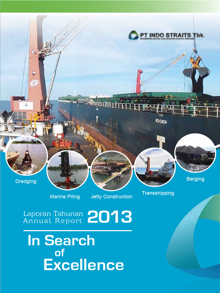 PTIS - Annual Report - 2013 | PDF | Equity (Finance) | Margin (Finance)