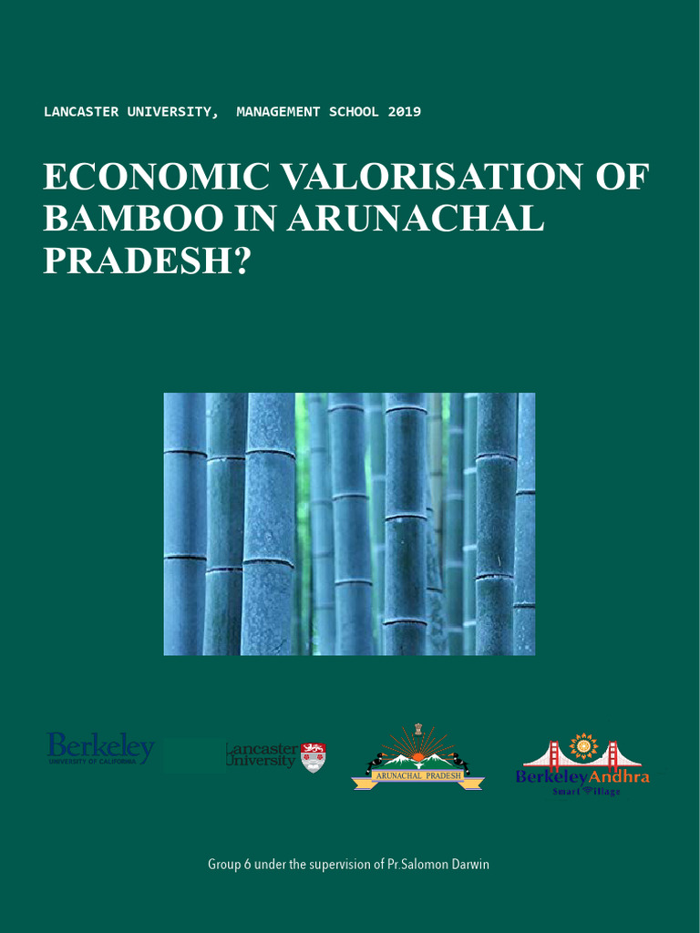 Final-report-bamboo-group | PDF | Bamboo | Charcoal