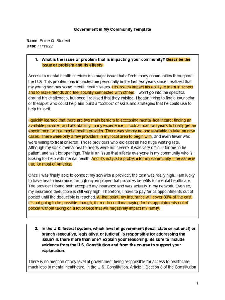 Example Government in My Community Submission | PDF | Mental Health ...