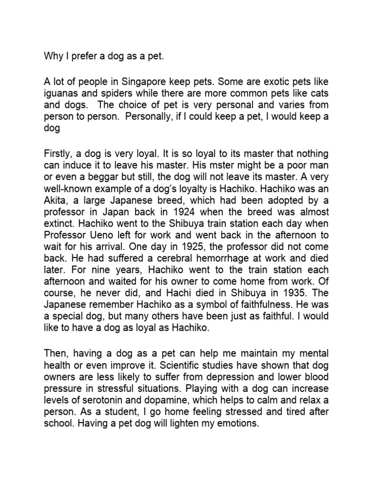 Why I Prefer A Dog As A Pet | PDF | Animals And Humans