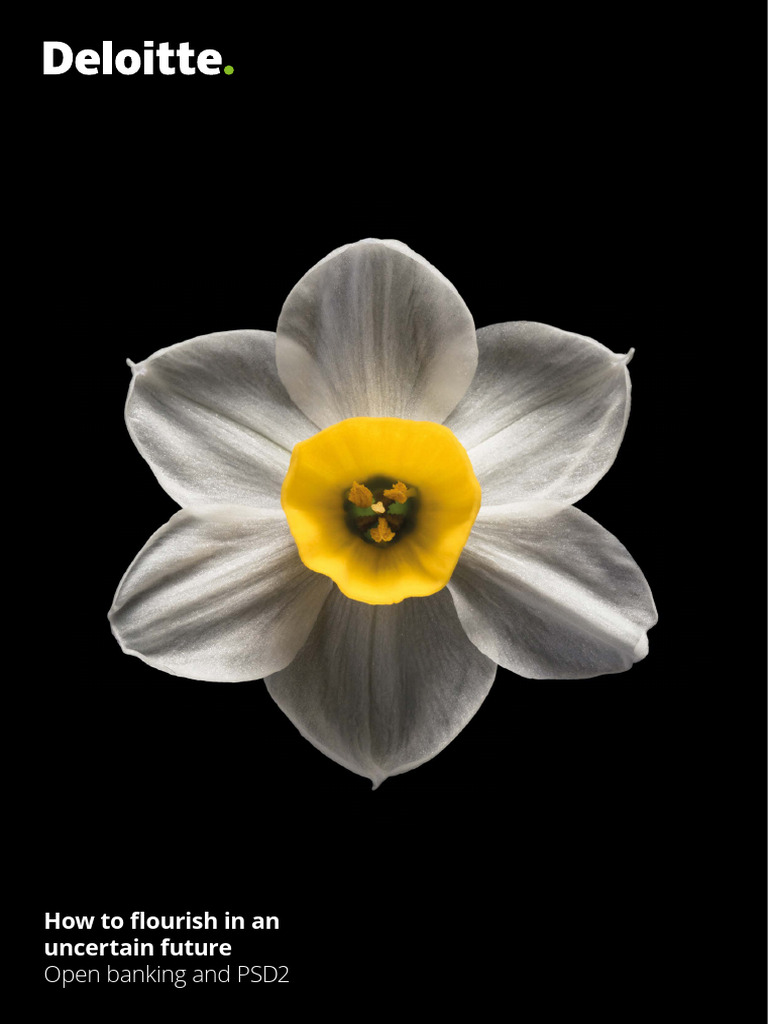 CZ Open Banking and psd2 | PDF | Banks | Transaction Account