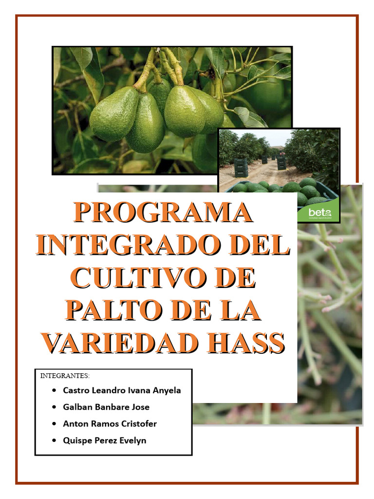 Programa Mipe Del Cultivo de Palto Hass | PDF
