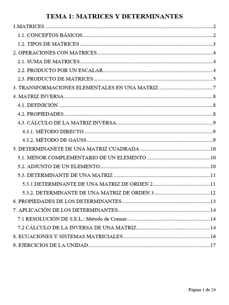 TEORÍA - 1 - Matrices y Determinantes | PDF | Determinante | Matriz ...