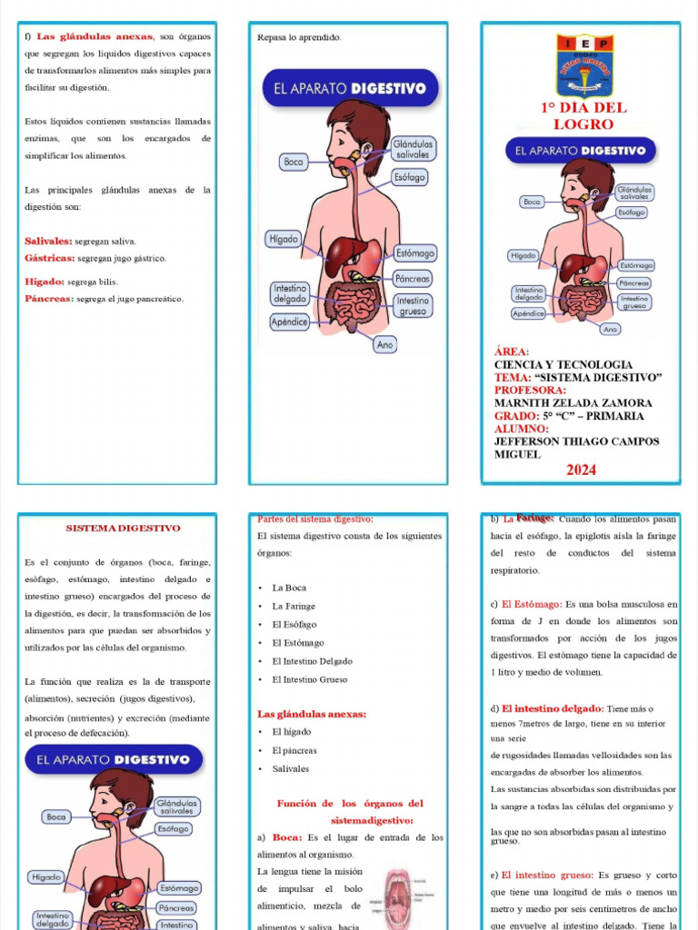 Triptico 2024 - Jefferson | PDF