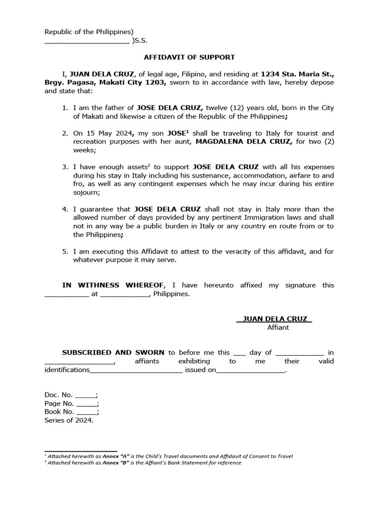 Affidavit of Support | PDF
