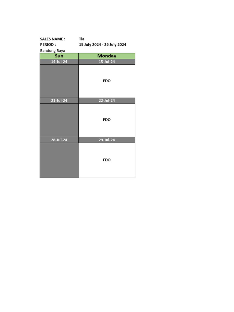 Sales Plan Visit | PDF