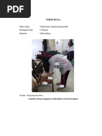 RULA Employee Assessment Worksheet: A. Arm and Wrist Analysis B. Neck ...