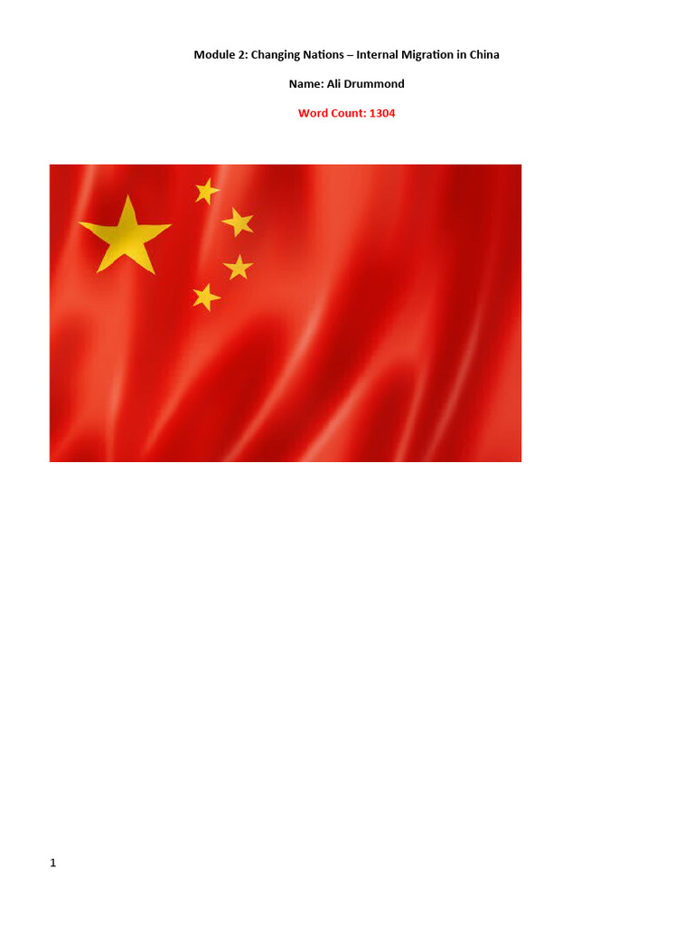 Assignment Pdf Human Migration China