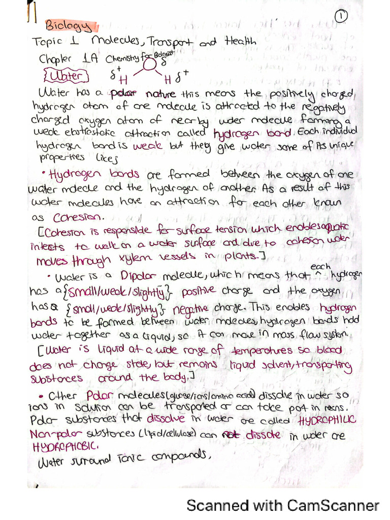 Bio Not | PDF