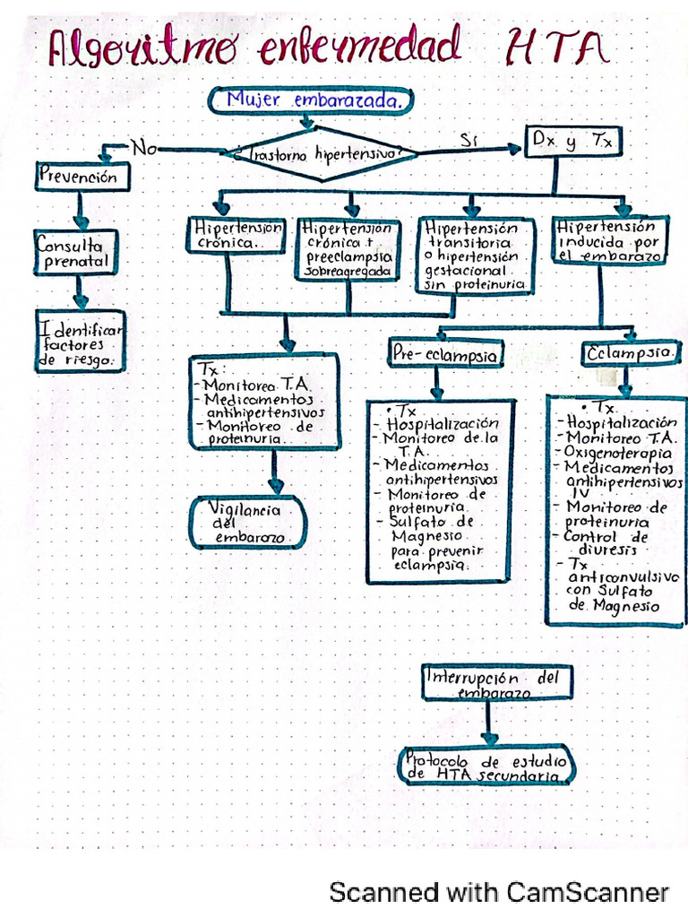 Algoritmo Hipertensión | PDF