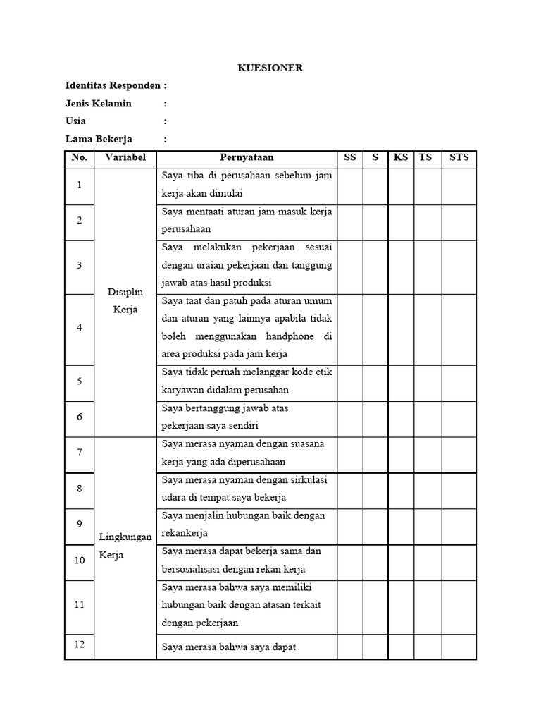 Kuesioner Disiplin Lingkungan Kinerja | PDF