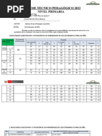 Informe Primaria Logros Del Aprendizaje | PDF | Aprendizaje | Cognición