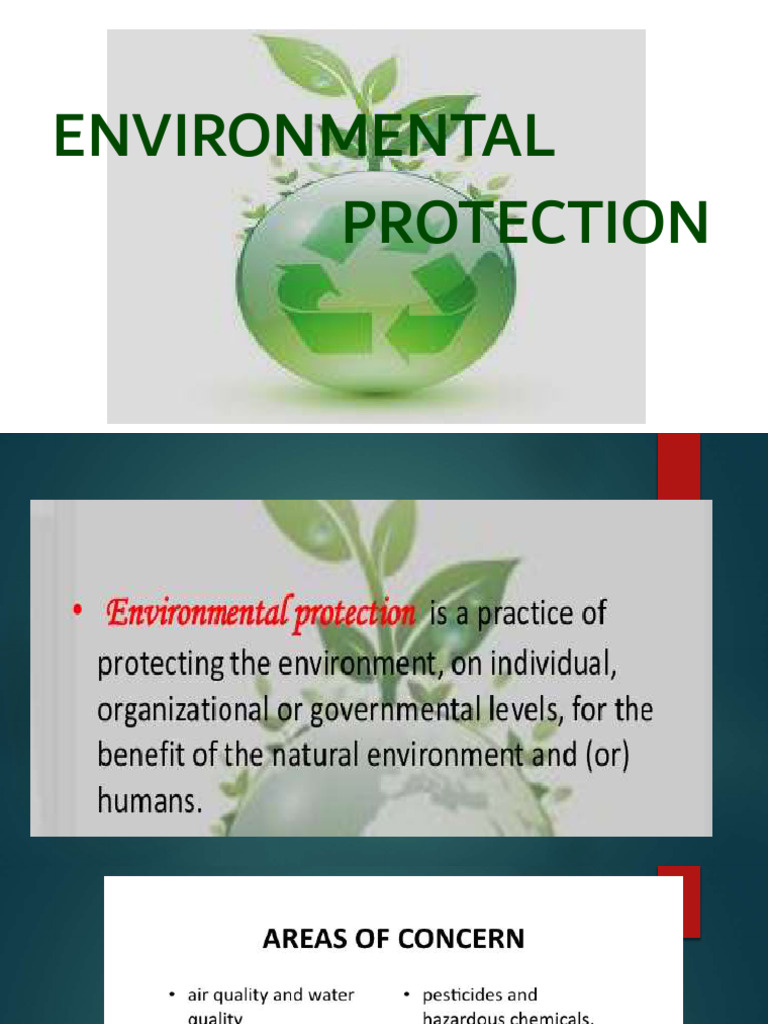 Environmental Protection | PDF | Natural Environment | Biodiversity