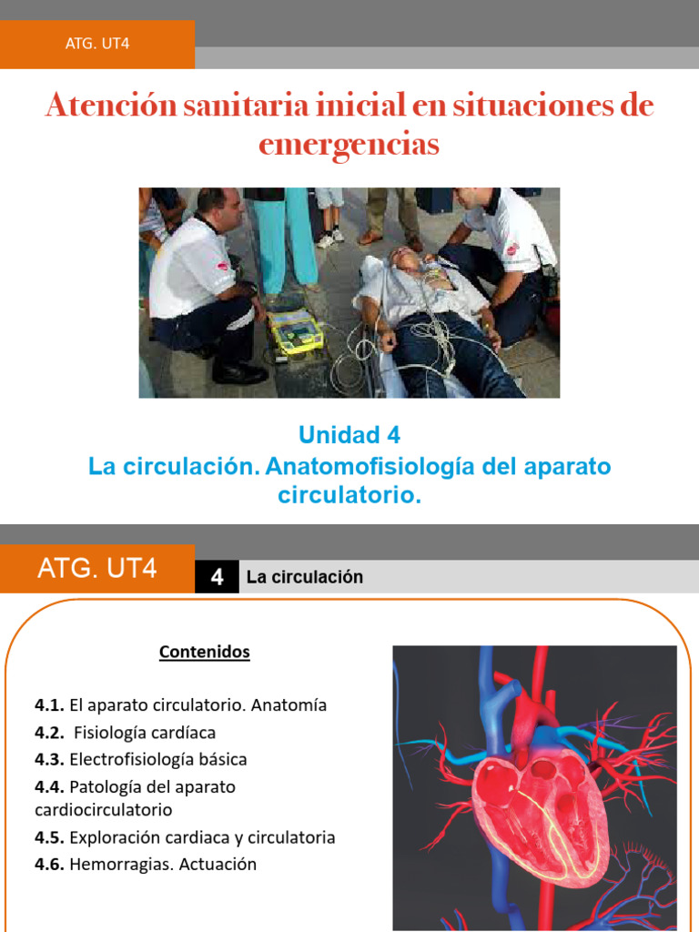 4 Atg | PDF | Sistema circulatorio | Corazón