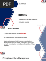 TBSA Burn Estimation for 2nd & 3rd Degree | PDF | Arm | Human Anatomy