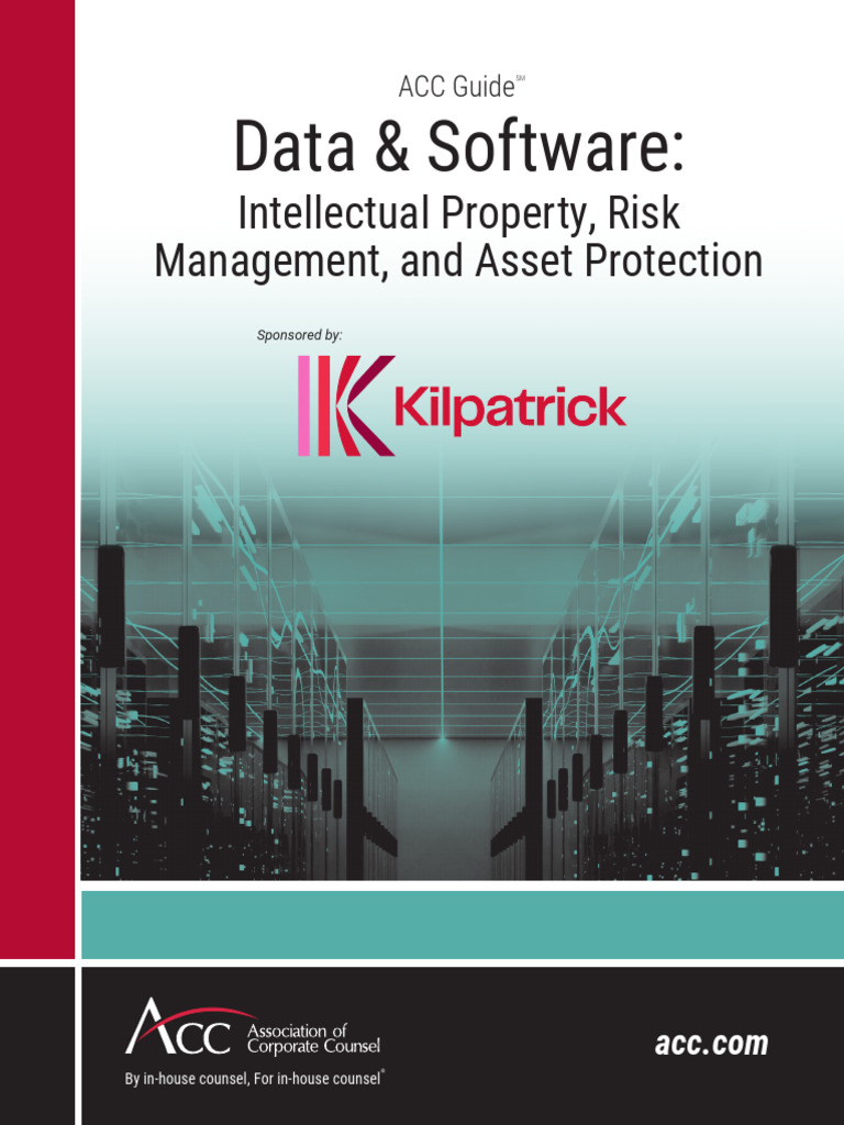 Data and Software Intellectual Property Risk Management and Asset ...