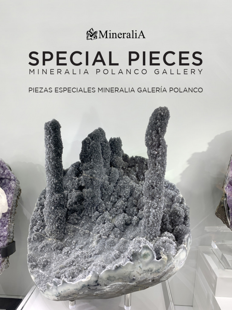 Polanco Gallery-Galería Polanco | PDF