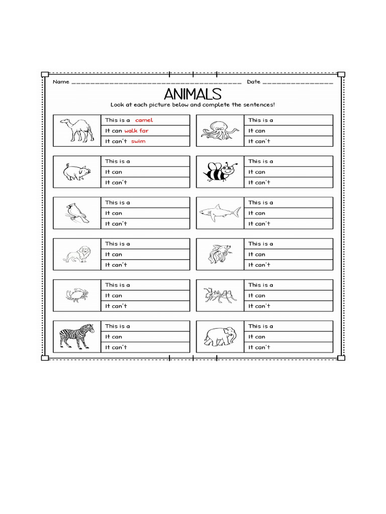 printablee.com-3rd-grade-animal-worksheets_154011.jpg | PDF